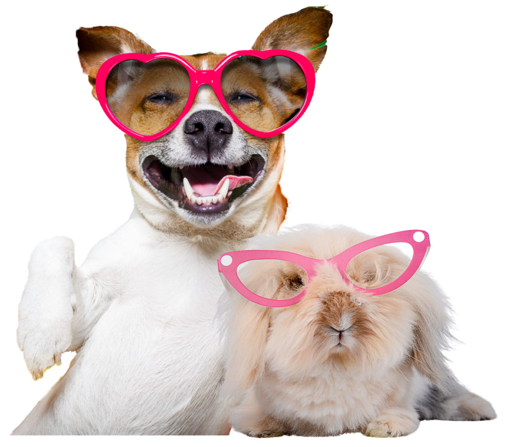 HomeTelecom - Home Telecom